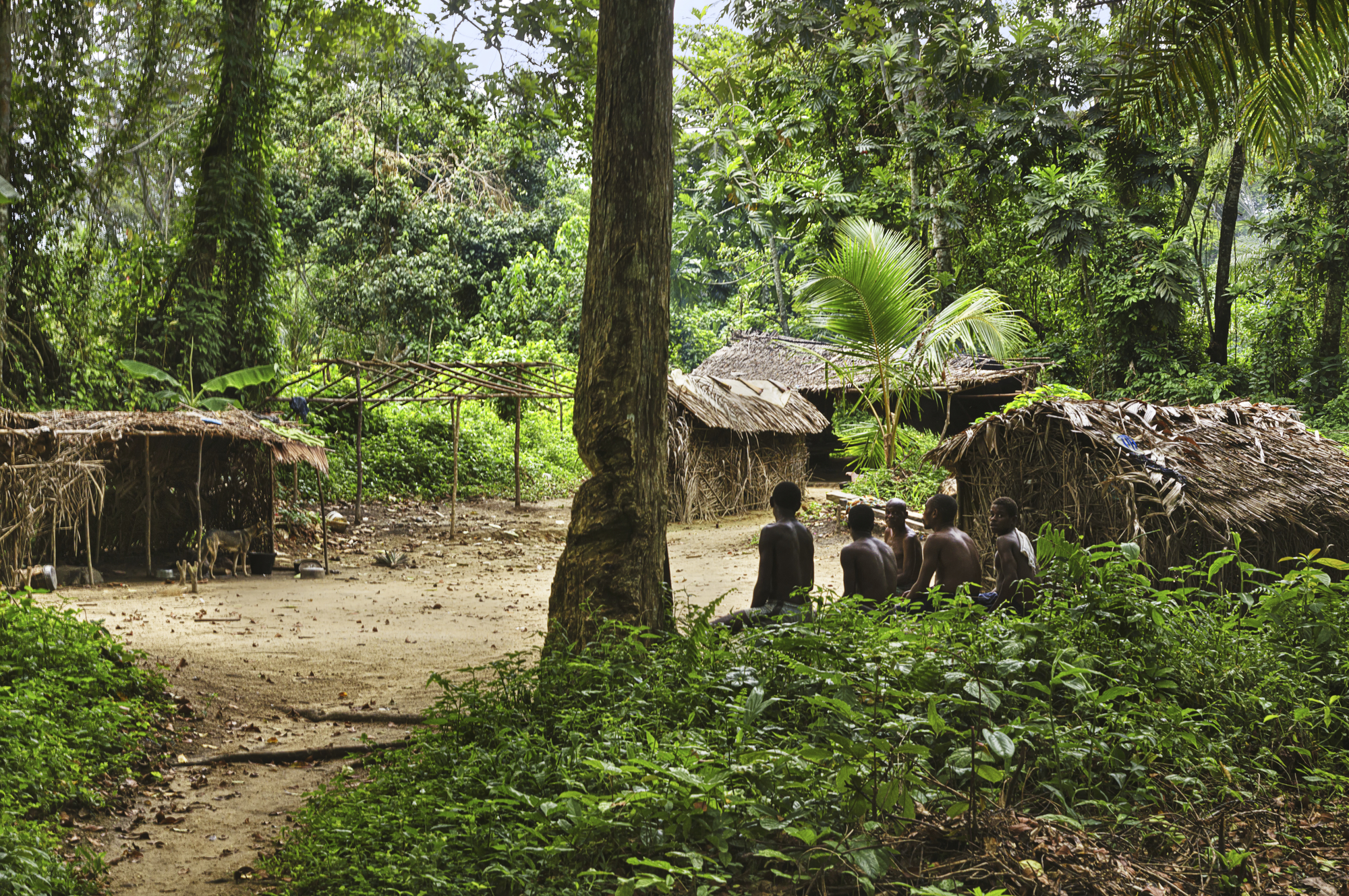 Einzigartiges Kamerun | Reise #8260